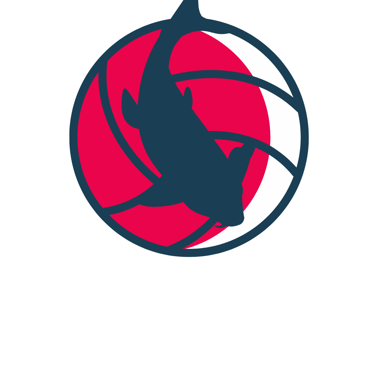 À propos de nous – NYON NETBALL CLUB